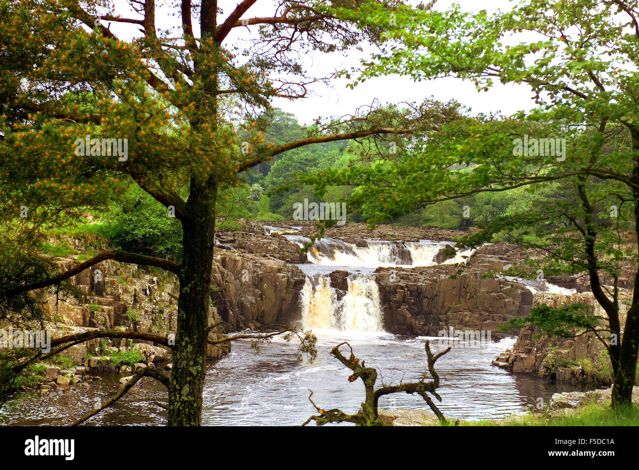 Low Force waterfall Stock Photo - Alamy