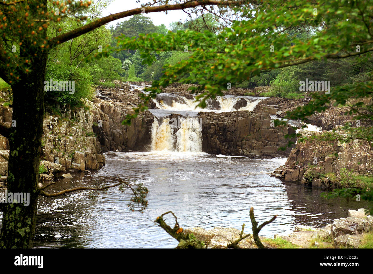 Low Force waterfall Stock Photo - Alamy
