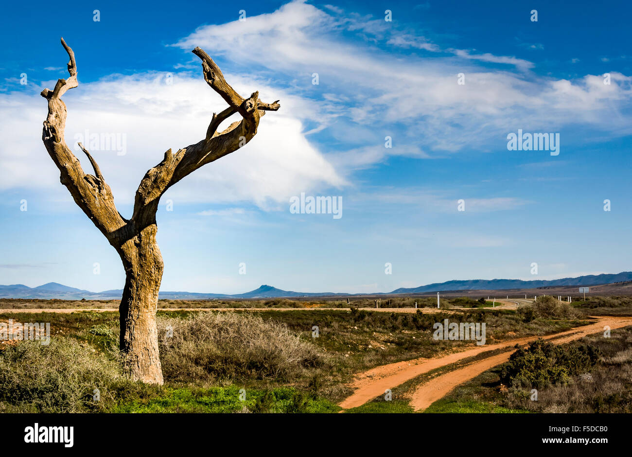 the australian outback Stock Photo - Alamy