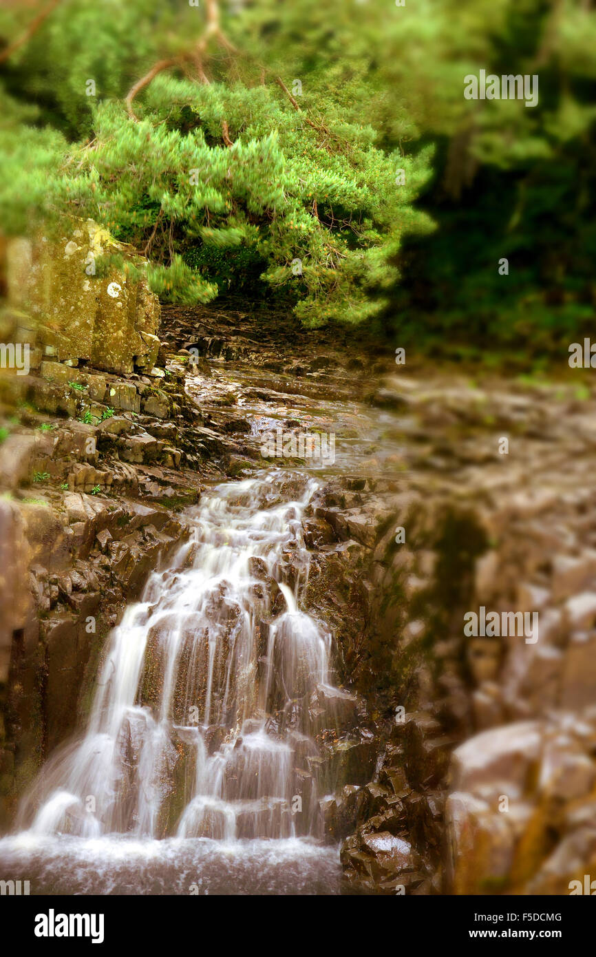 Low Force waterfall Stock Photo - Alamy
