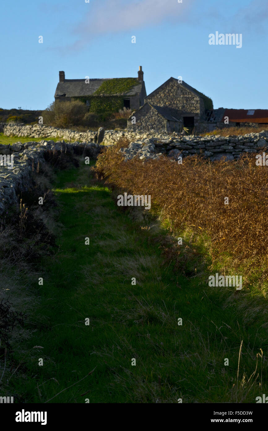 Cornish farm house hi-res stock photography and images - Alamy