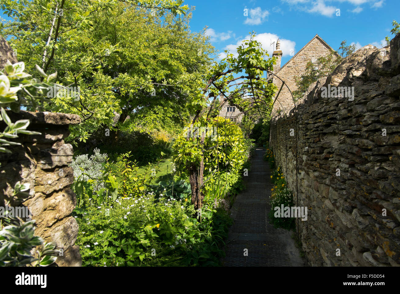 A vine growing over an arch in a garden participating in the Open ...