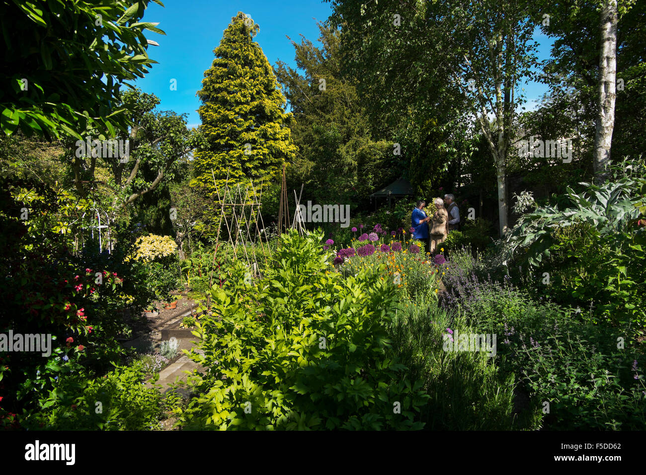A beautiful garden participating in the Open Gardens Weekend in the ...