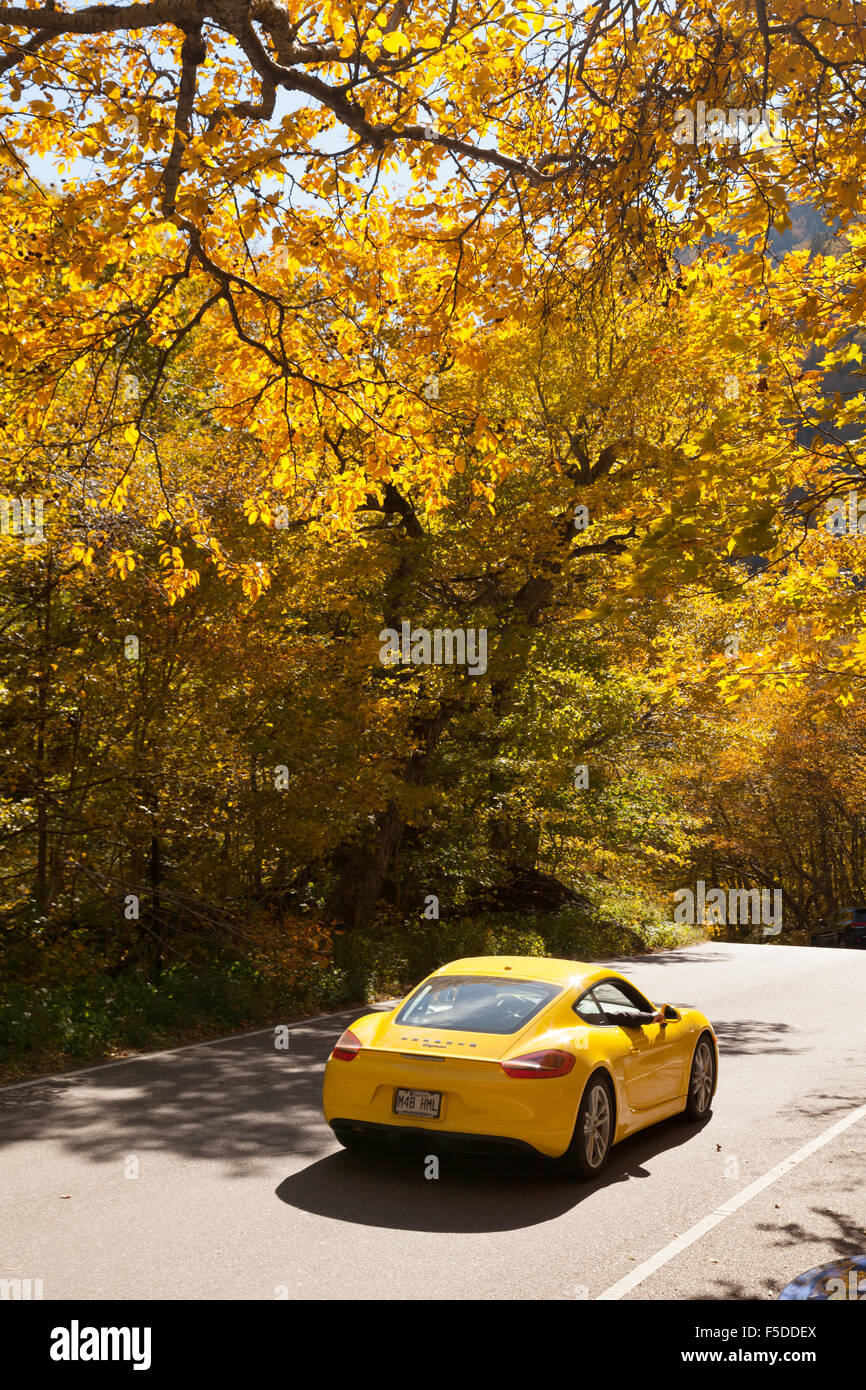 Porsche sports car driving in autumn, Vermont, USA Stock Photo - Alamy