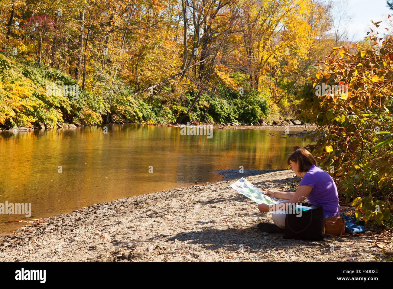 A woman tourist sitting by the Little River reading a map, Stowe ...