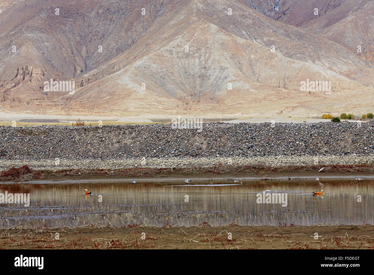 Ngur pa hi-res stock photography and images - Alamy