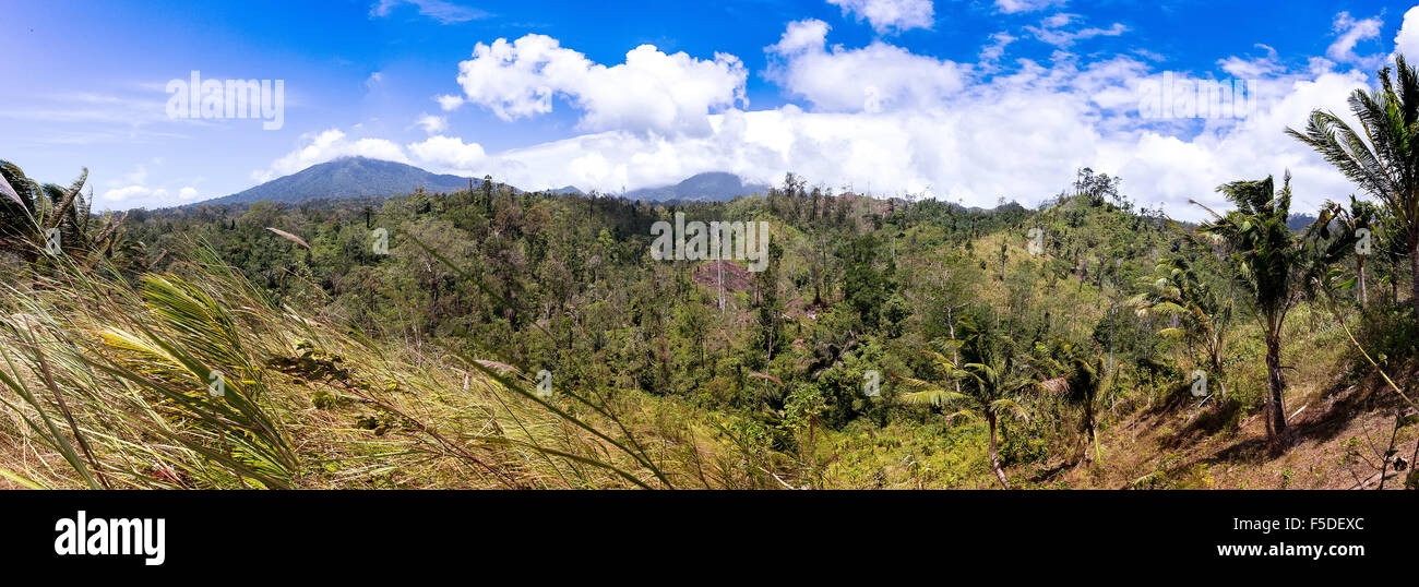 panorama of traditional Indonesian landscape with volcano and palms ...