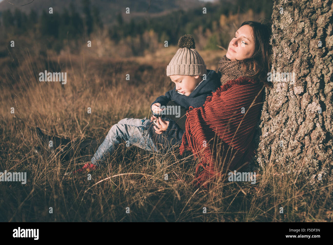 Mother and son sitting under the tree Stock Photo - Alamy