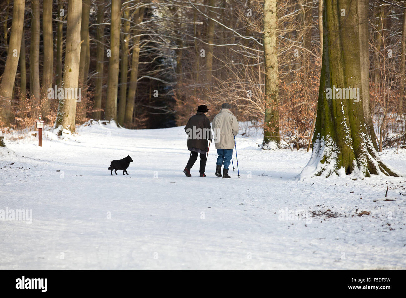 People outdoor in winter in Denmark Stock Photo - Alamy