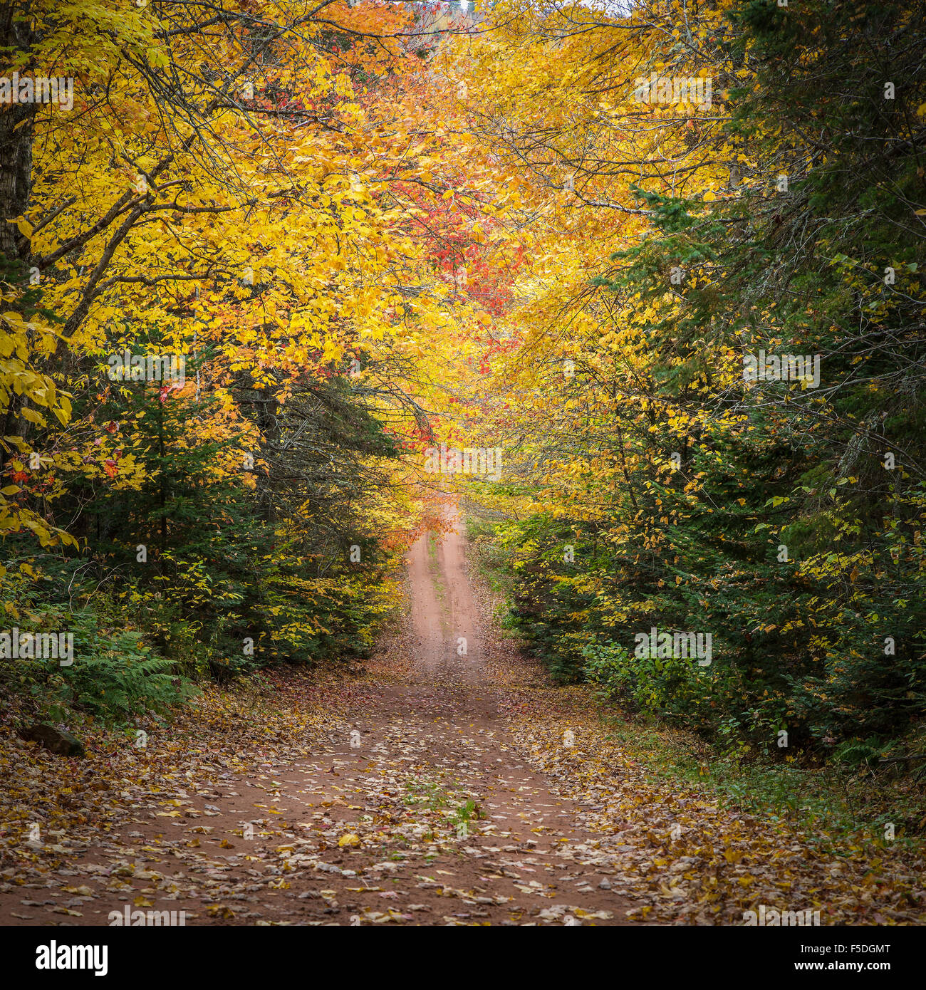 Fall foliage and clay road hi-res stock photography and images - Alamy