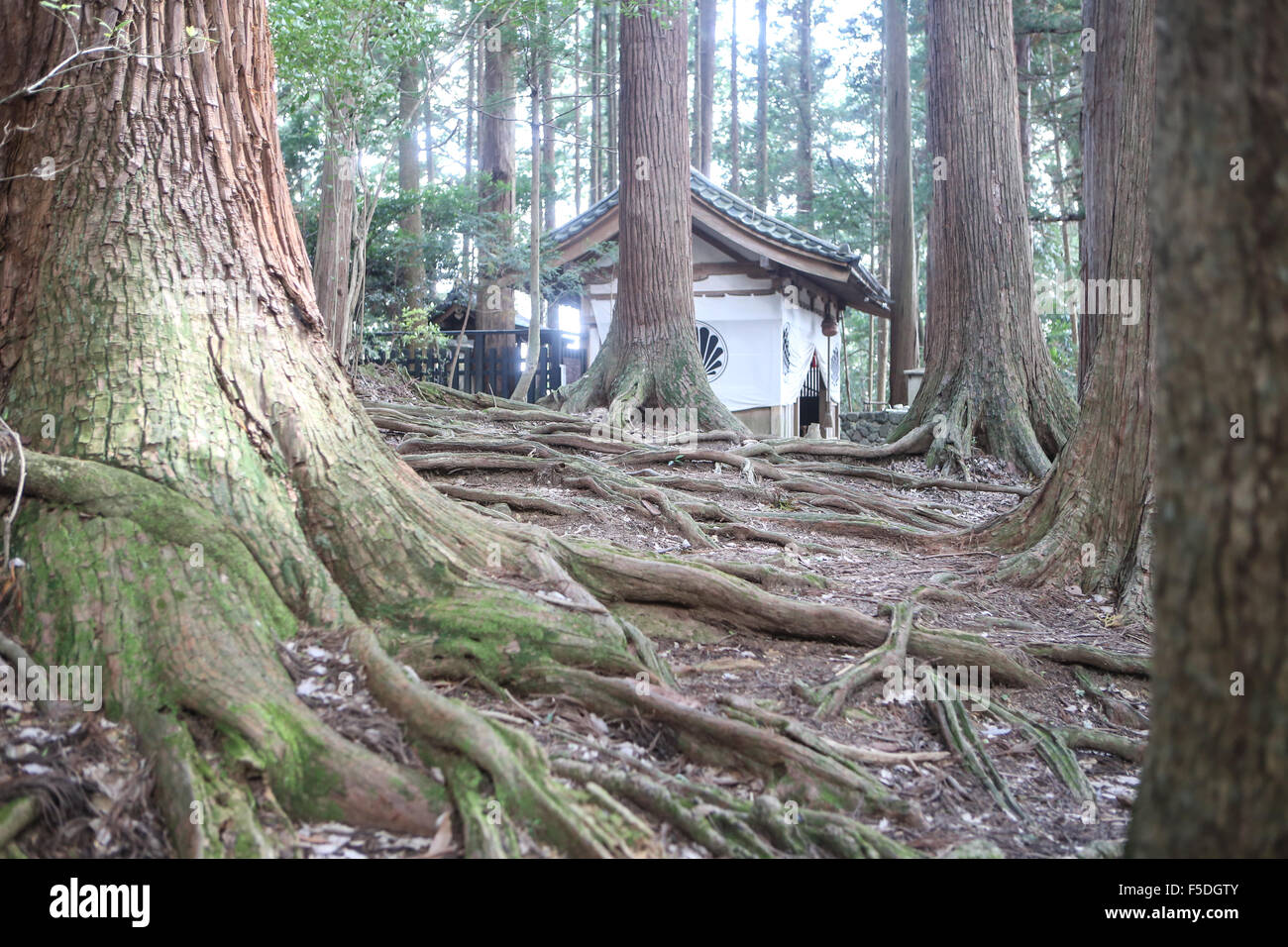 Okunoin temple hi-res stock photography and images - Alamy