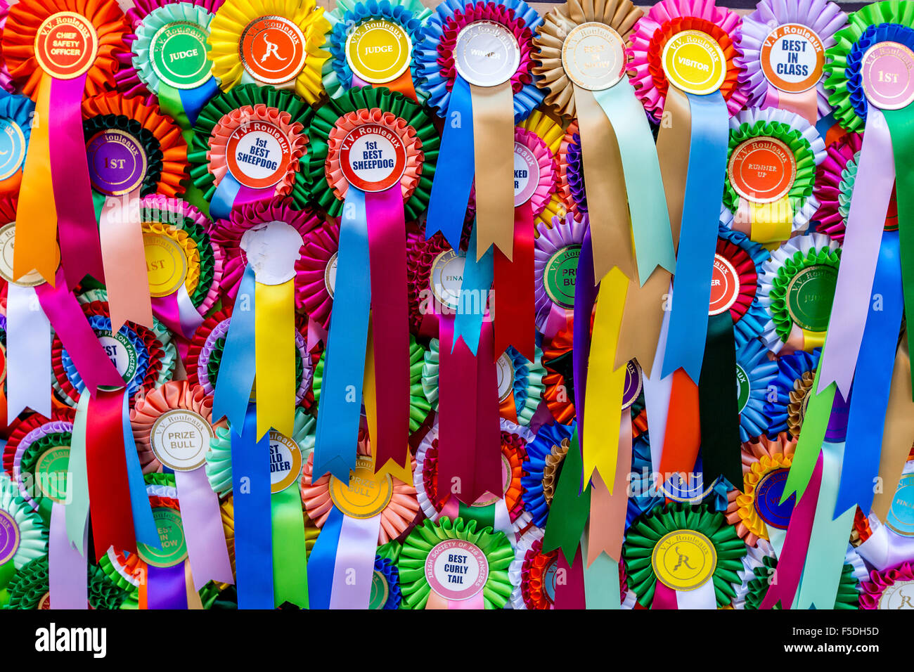 Winners rosettes hi-res stock photography and images - Alamy