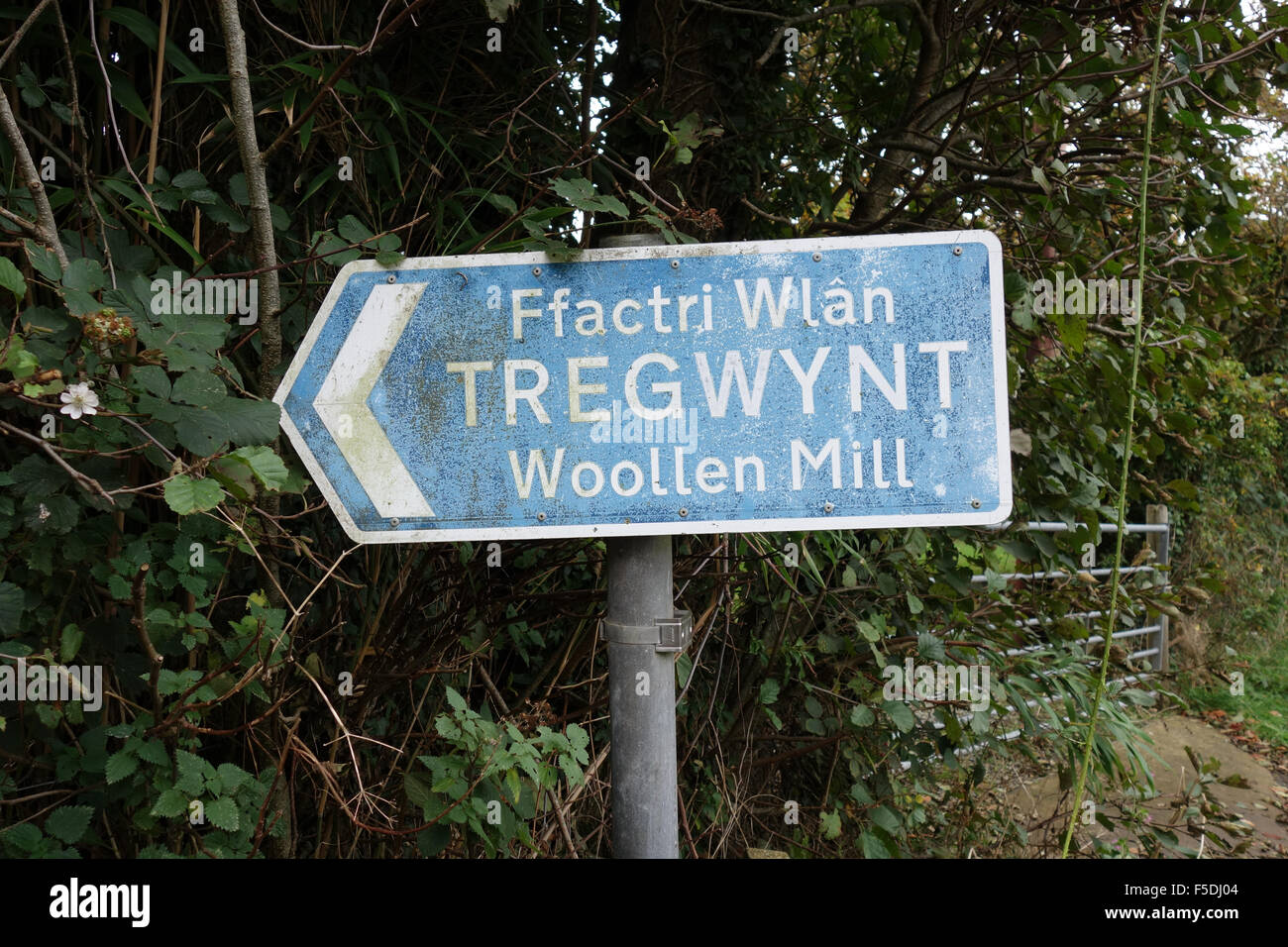 Weather-worn road sign for Tregwynt Woollen Mill, Pembrokeshire Stock ...