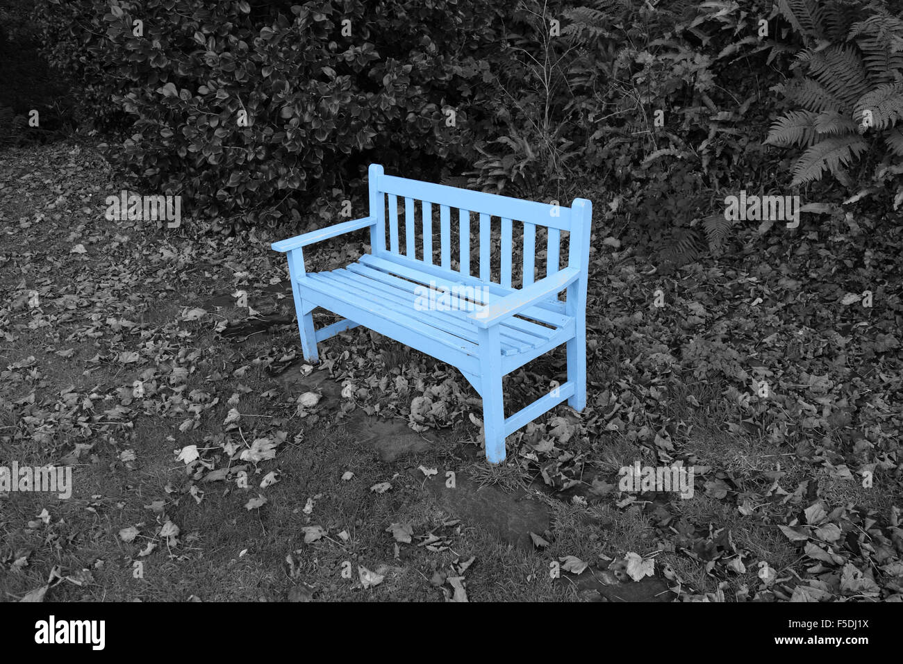 Blue bench hi-res stock photography and images - Alamy