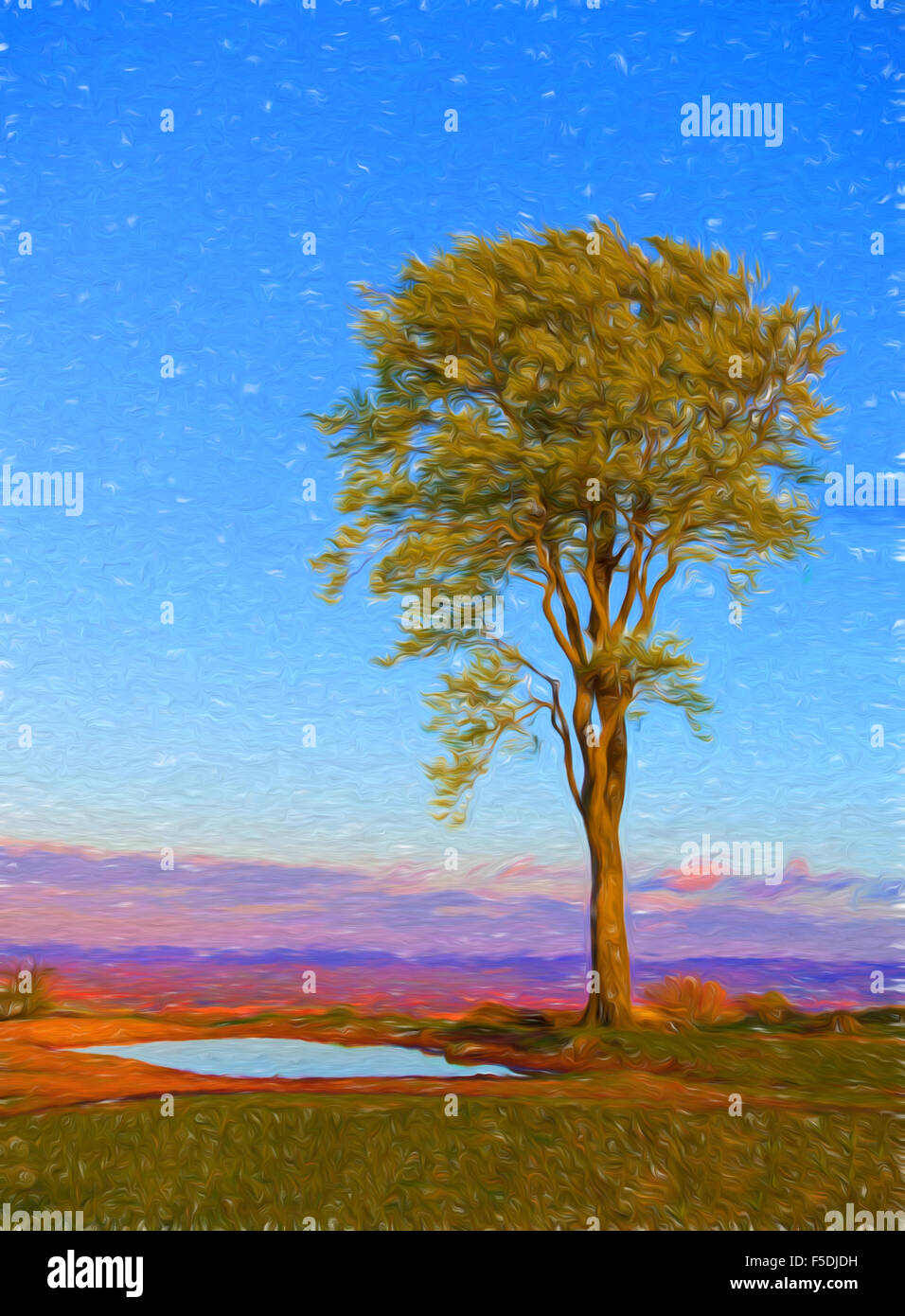 Beech tree illustration hi-res stock photography and images - Alamy