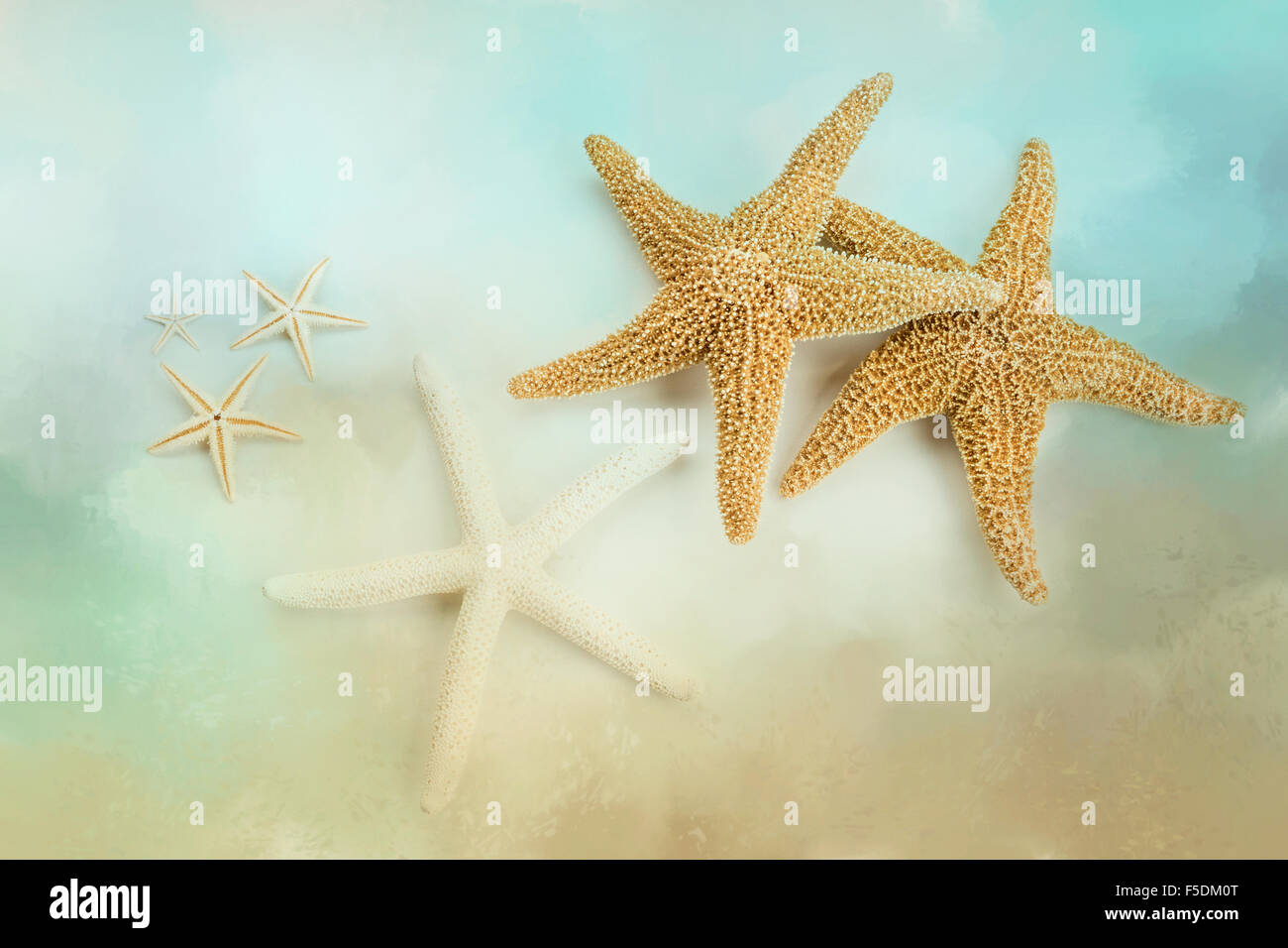 Starfish at the seaside. Still life layered with textures Stock Photo ...