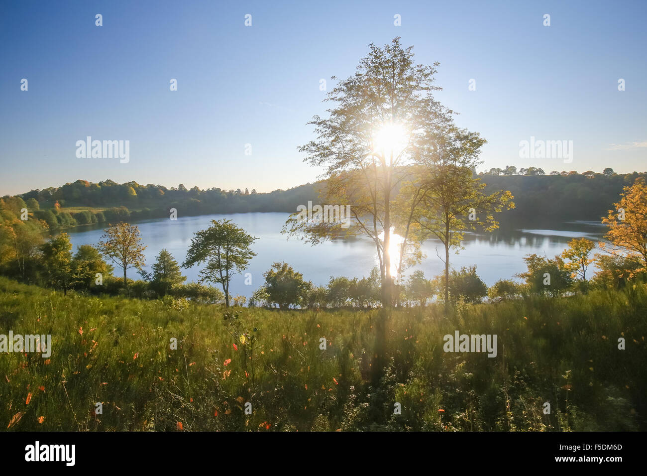 Maar or Volcanic Lake in the Vulkaneifel district in Rhineland ...