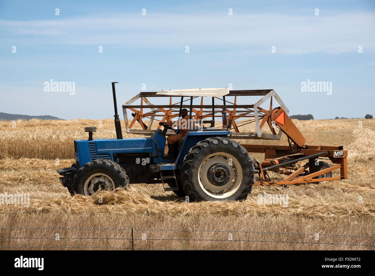 Harvesting wheat using a tractor and a row crop cutter in the Swartland ...
