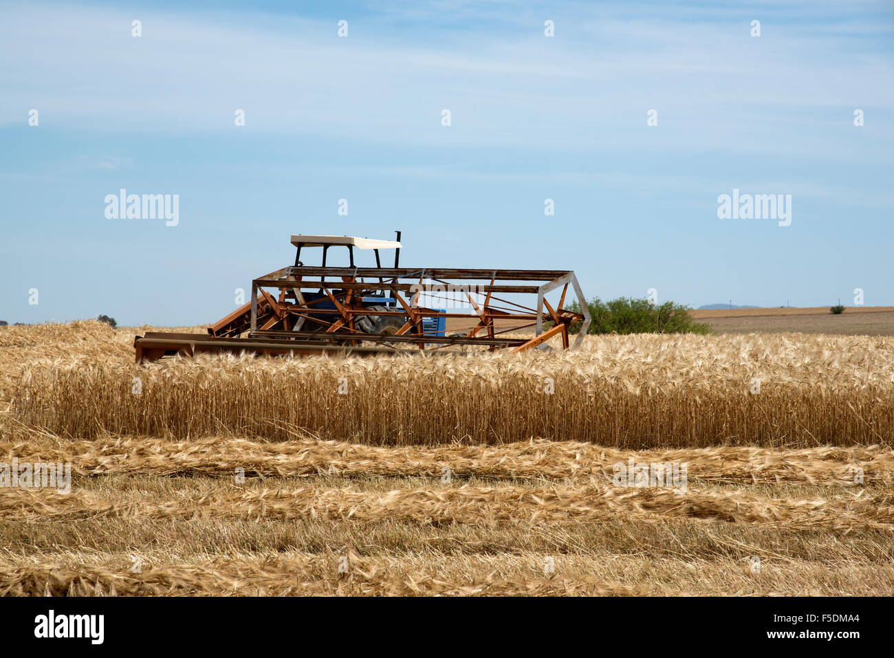 Harvesting Crops Stock Photos & Harvesting Crops Stock Images - Alamy