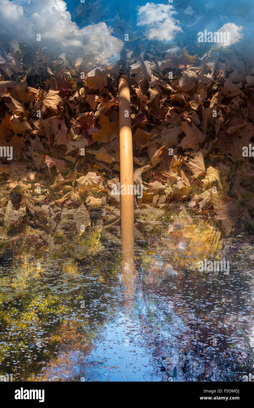 Autumn Leaves, Water, Pipe, and Clouds Stock Photo - Alamy