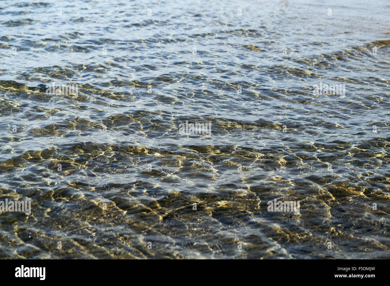 Beautiful sea water near the shore is photographed close-up Stock Photo ...