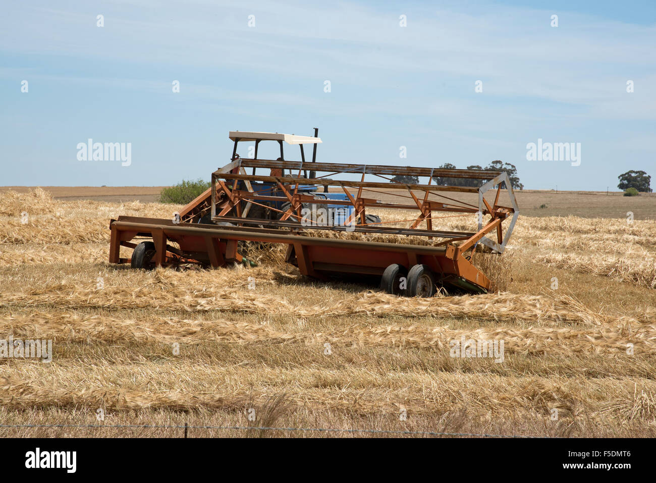Harvesting wheat using a tractor and a row crop cutter in the Swartland ...