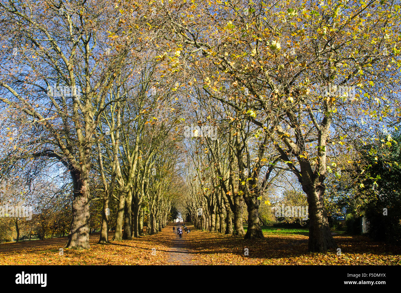 Autumn colours in Bristol, England Stock Photo - Alamy