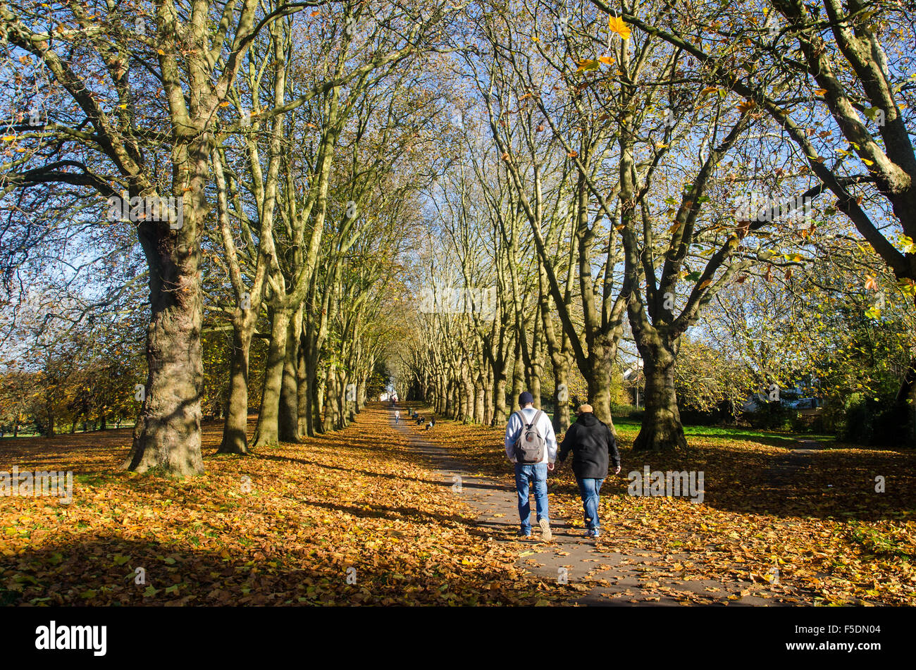 People taking an Autumn walk in Bristol, England Stock Photo - Alamy