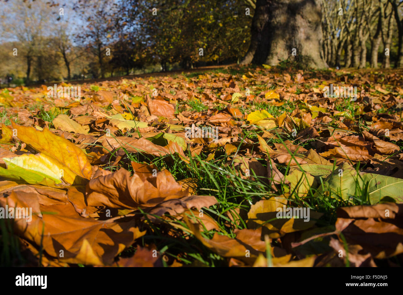 Autumn colours in Bristol, England Stock Photo - Alamy