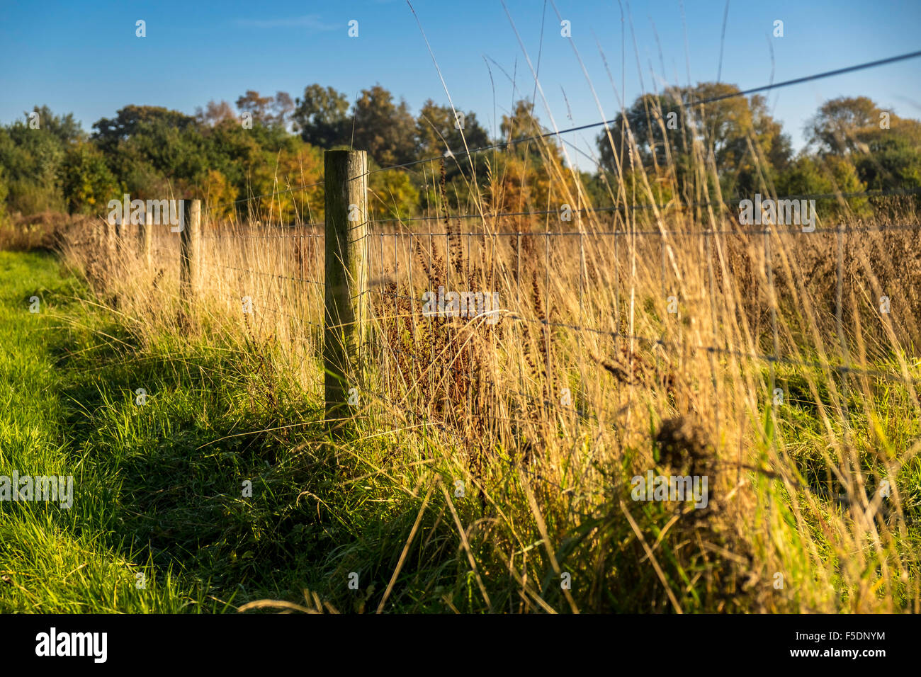 country Wire fence with wooden posts Stock Photo - Alamy