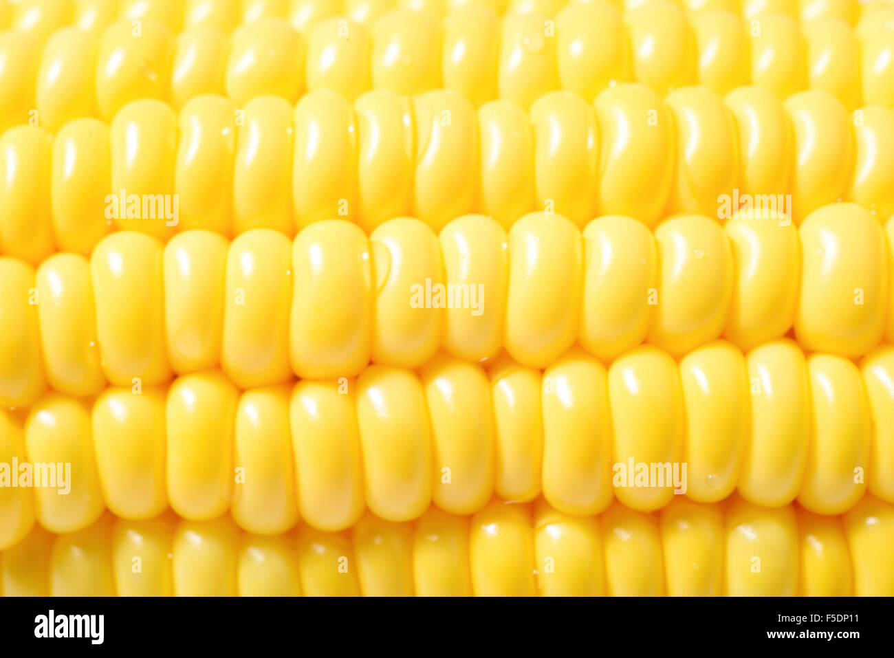 Photo of yellow corn background Stock Photo - Alamy