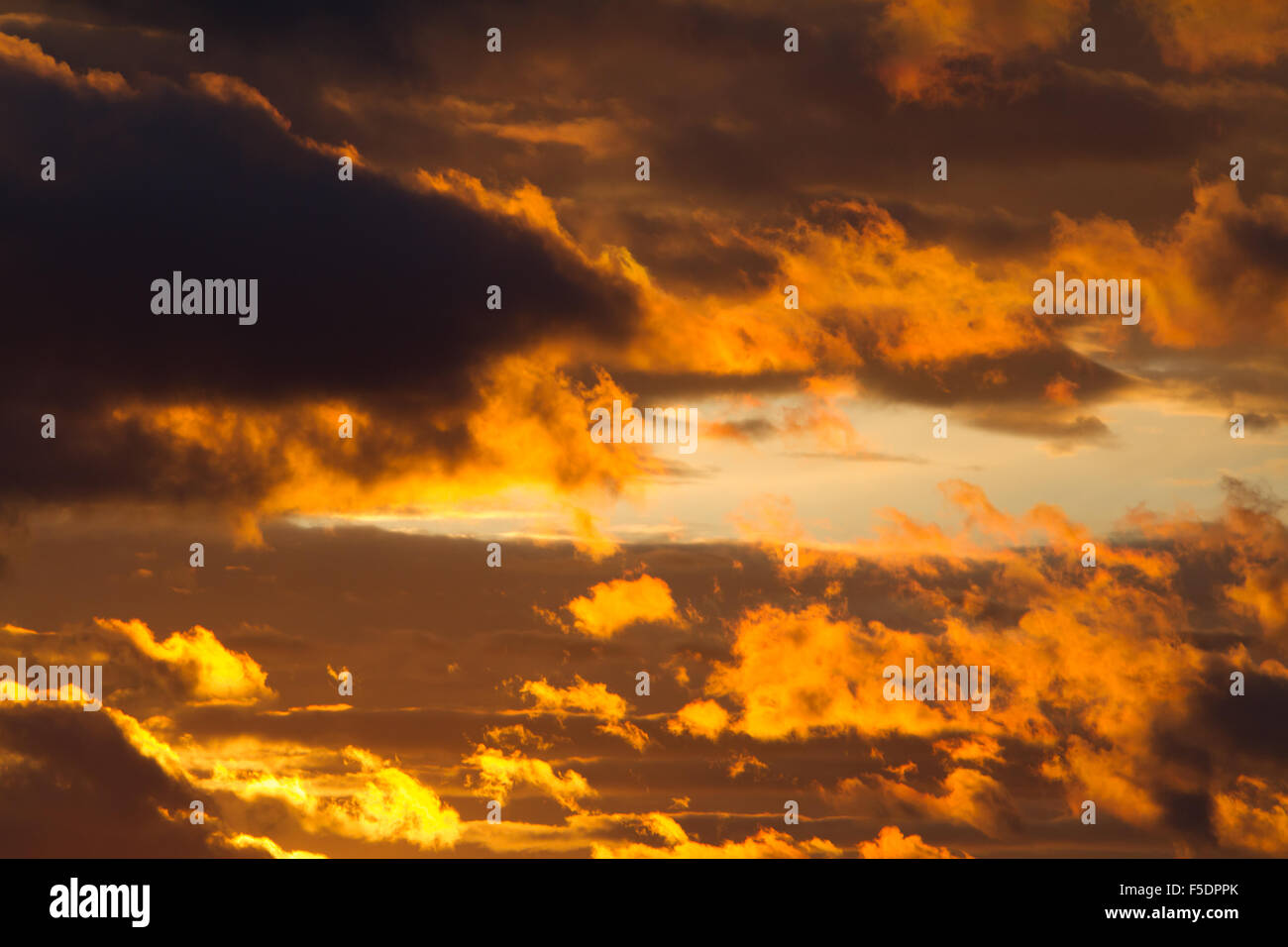 Yellow Clouds at Sunset Stock Photo - Alamy