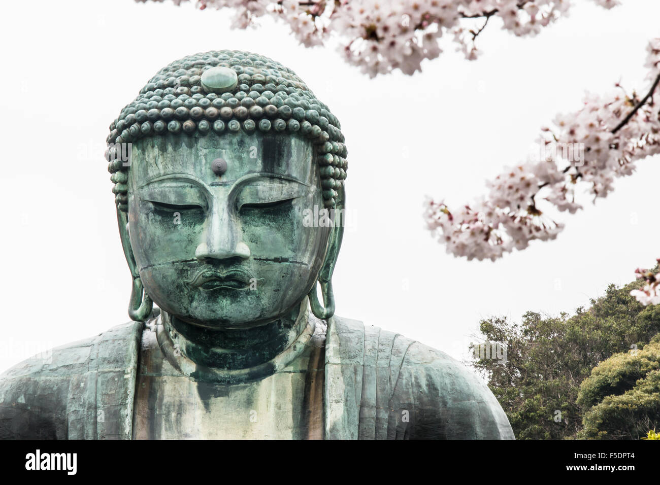 The Great Daibutsu, Buddha of Kamakura , a bronze statue of Amida ...