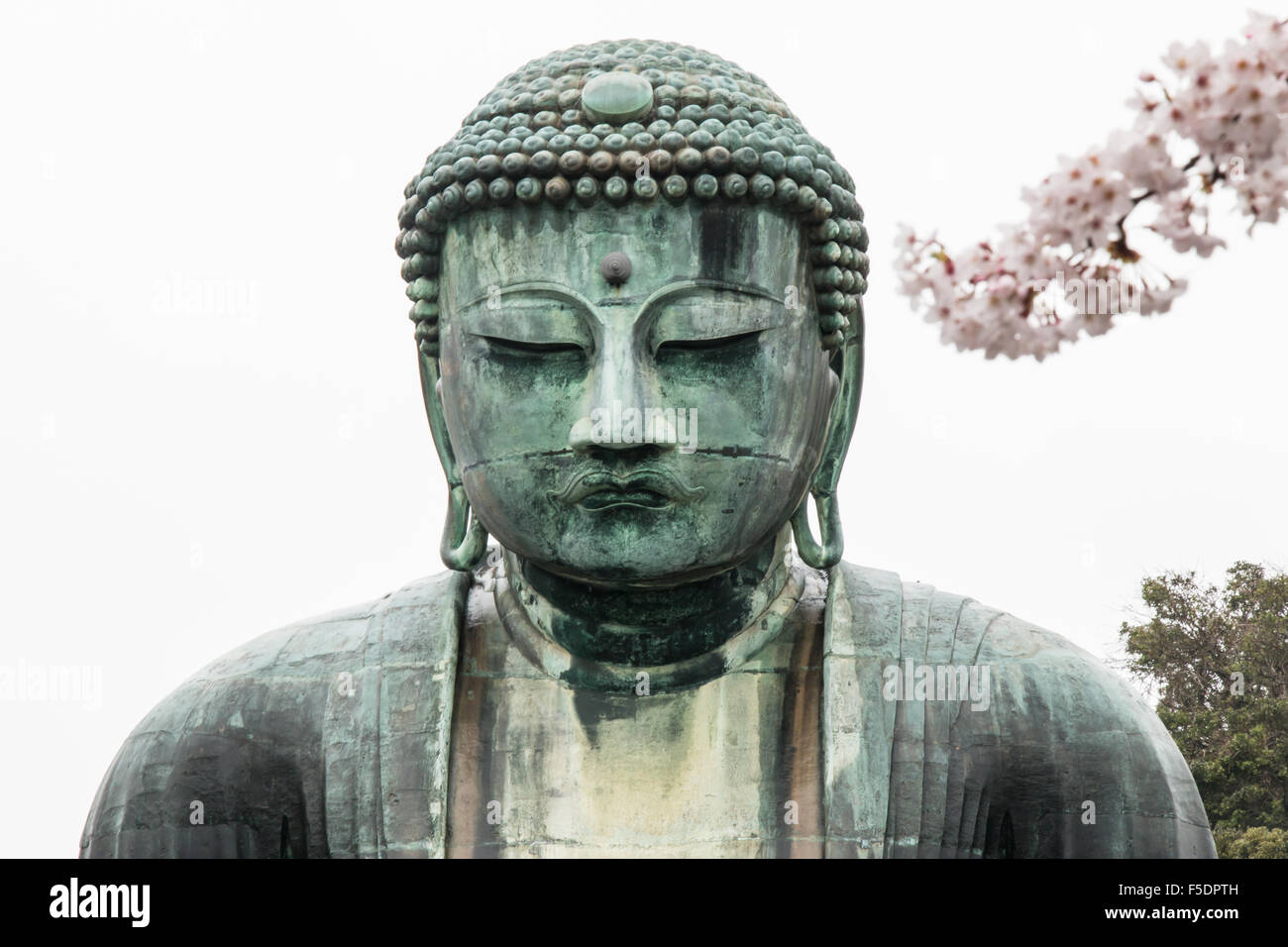 The Great Daibutsu, Buddha of Kamakura , a bronze statue of Amida ...