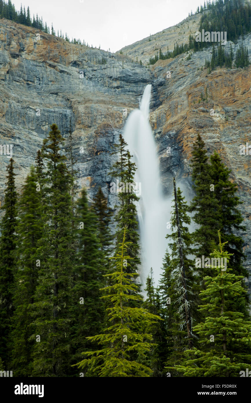 Takakkaw Falls in Field, British Columbia Stock Photo - Alamy