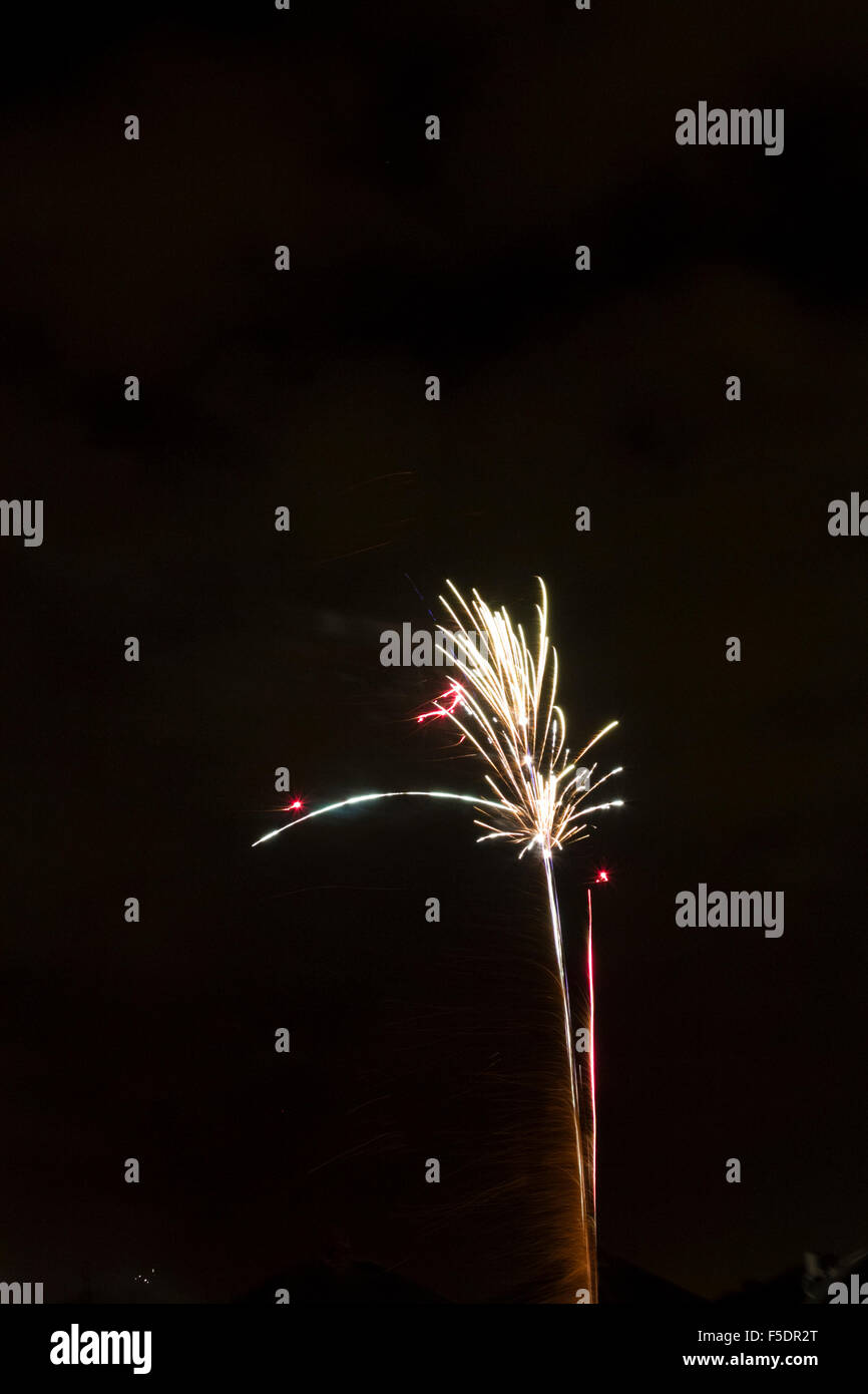 Portrait image of firework going off with black background space for ...