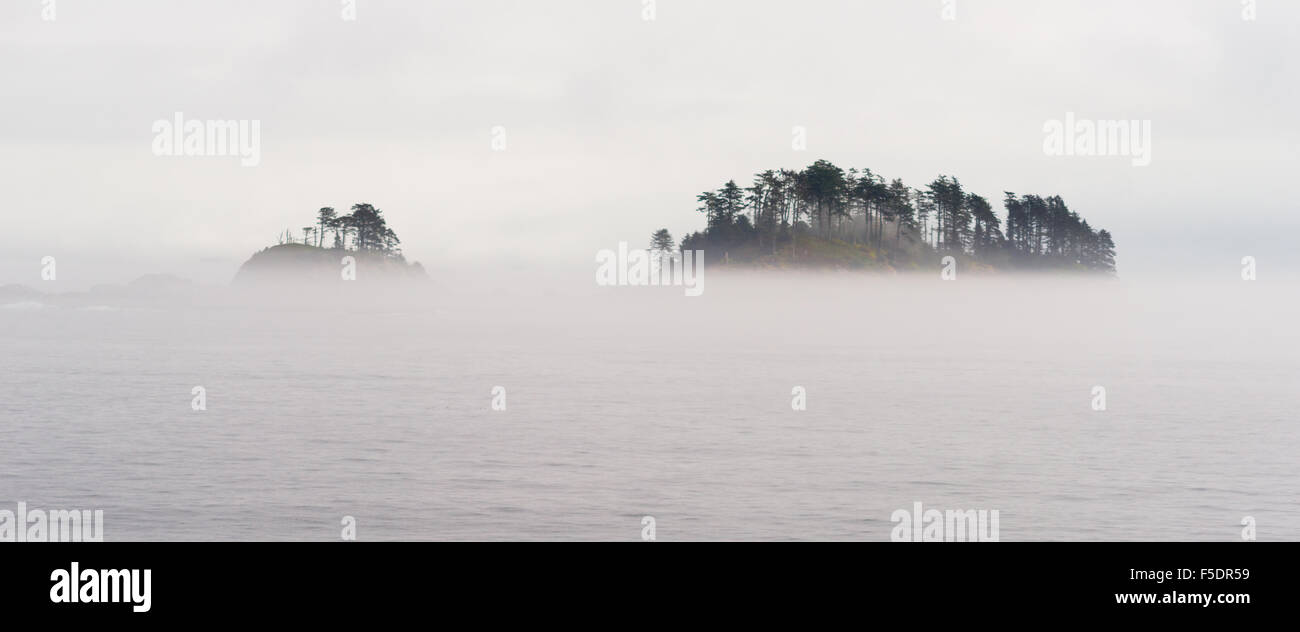 Fog surrounds a small island in the inside passage Stock Photo - Alamy