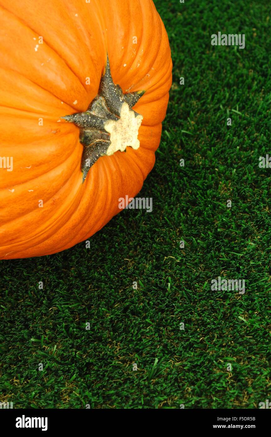 A studio photo of a Halloween pumpkin on artificial grass Stock Photo ...