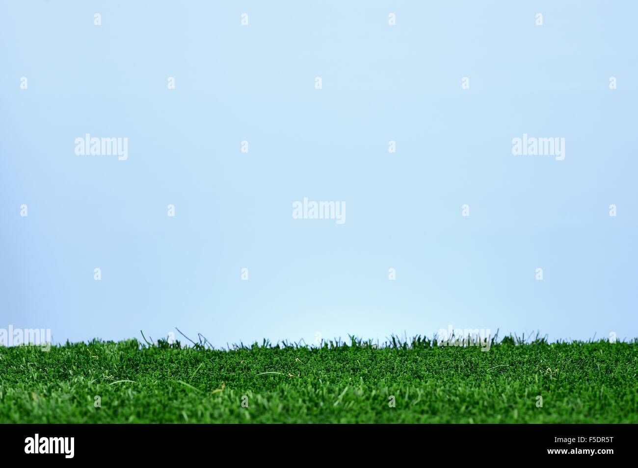 A studio photo of artificial grass with a blue background Stock Photo ...