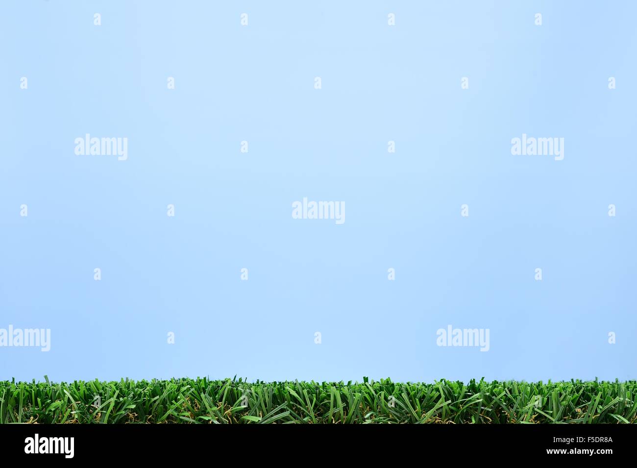 A studio photo of artificial grass with a blue background Stock Photo ...