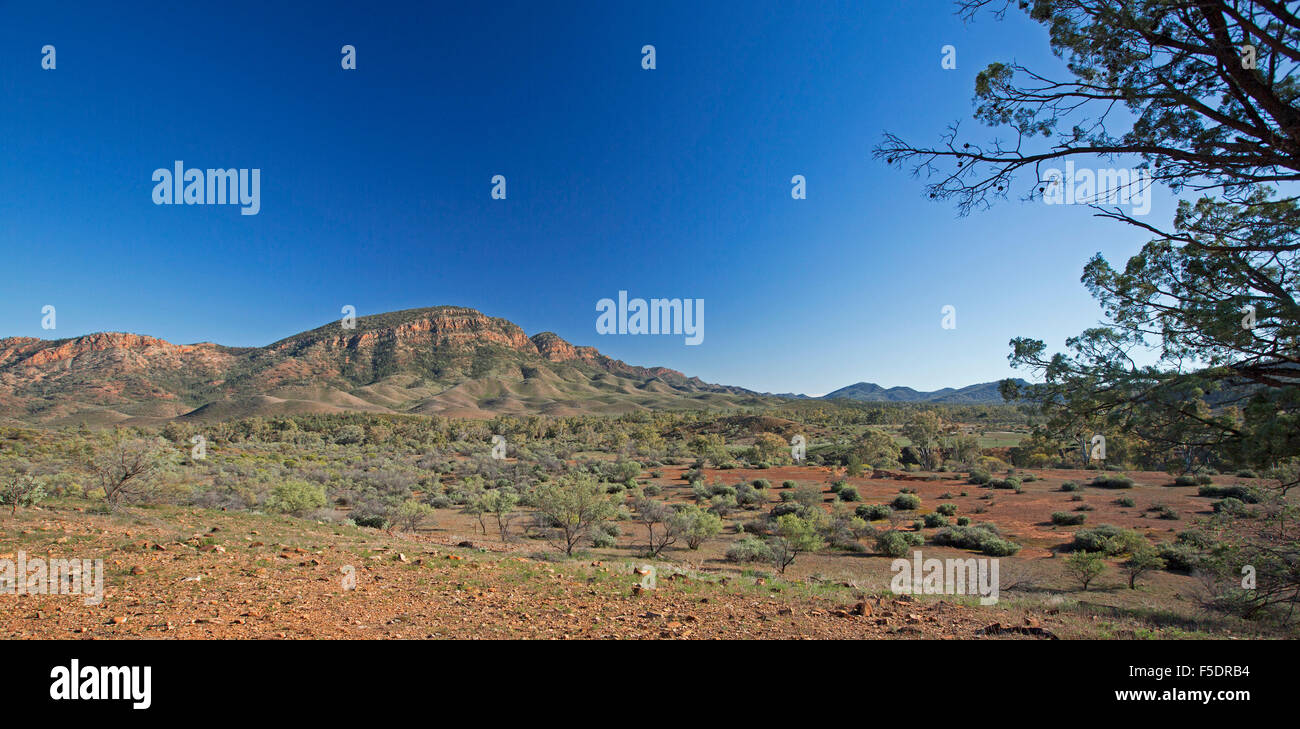 Panoramic view of rugged Heysen Ranges & Aroona Valley under blue sky ...