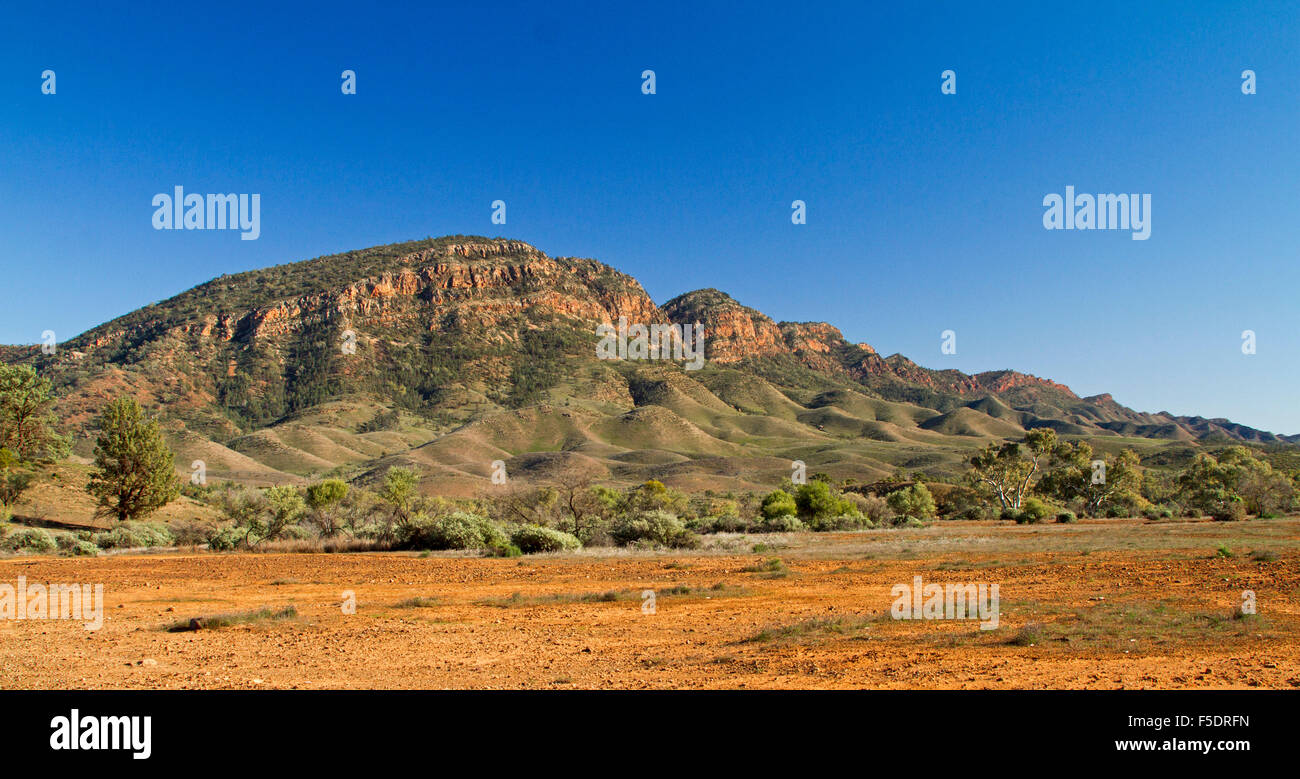 Panoramic view of rugged Heysen Ranges & Aroona Valley under blue sky ...