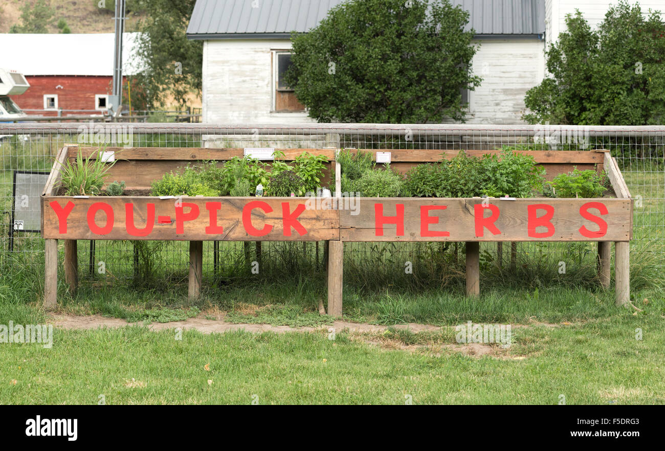 U pick stand hi-res stock photography and images - Alamy