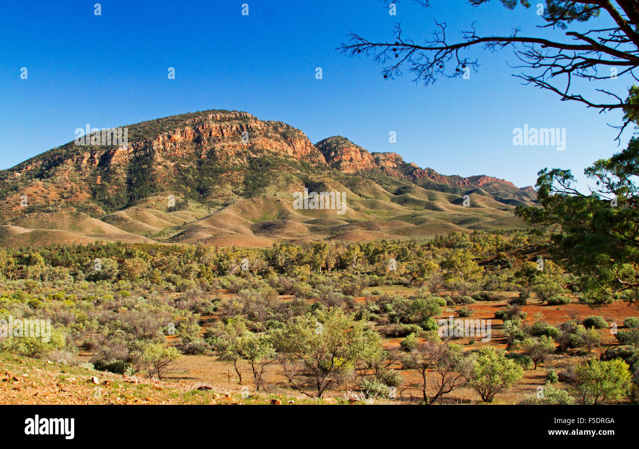 Aroona valley hi-res stock photography and images - Alamy