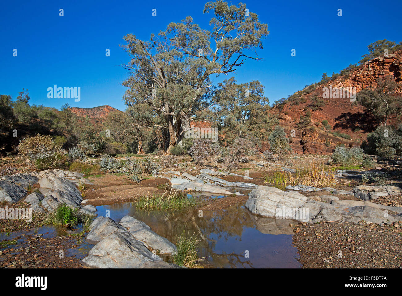 Rock pool at Brachina gorge, blue sky reflected in water hemmed by ...