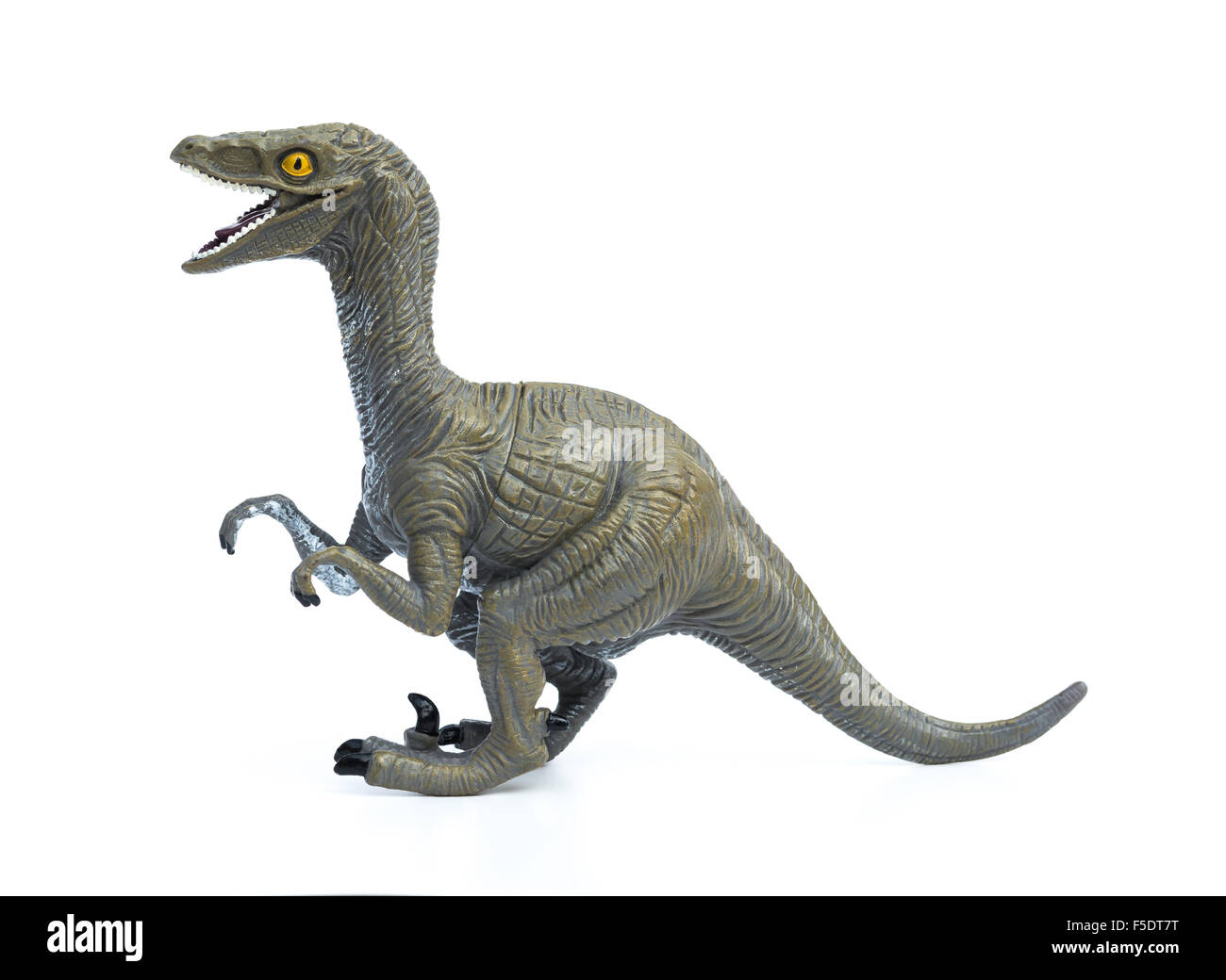Deinonychus toy on a white background Stock Photo - Alamy