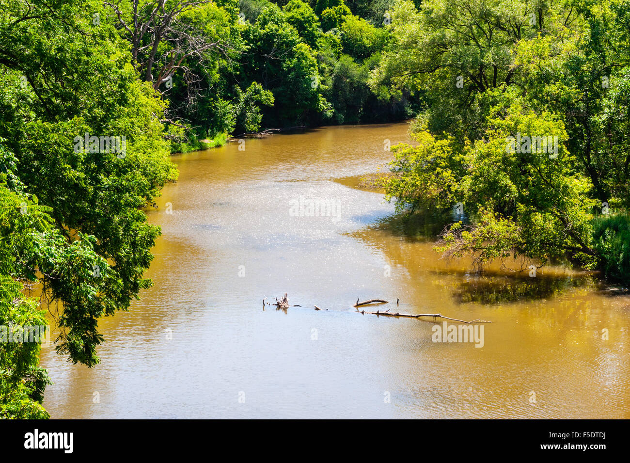 Slow muddy brown river with dead branches in middle, passing through ...