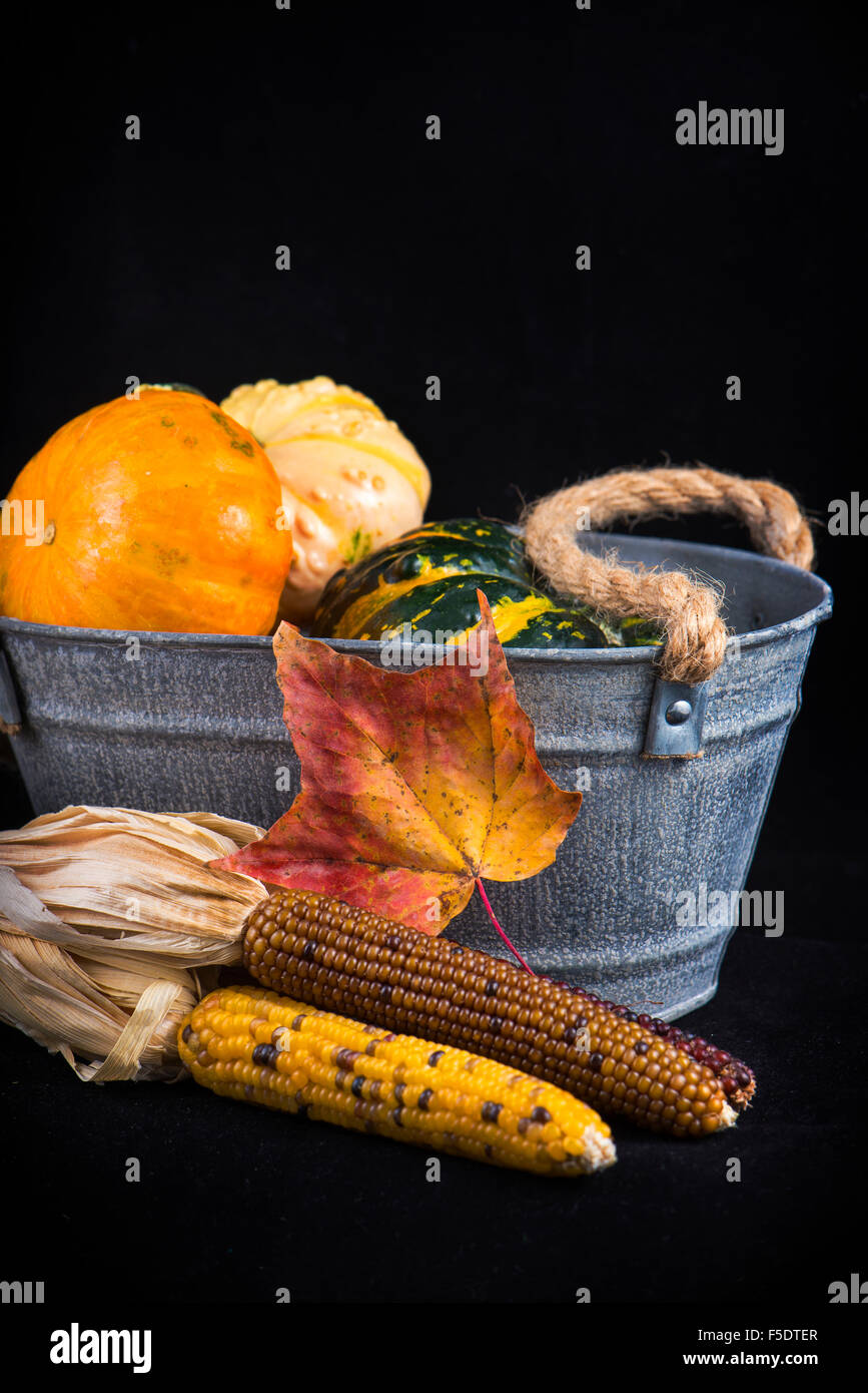 Harvest colors hi-res stock photography and images - Alamy