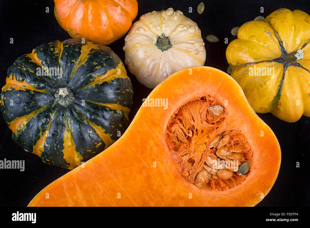 Colorful pumpkins and squash - Fall season colors concept background ...