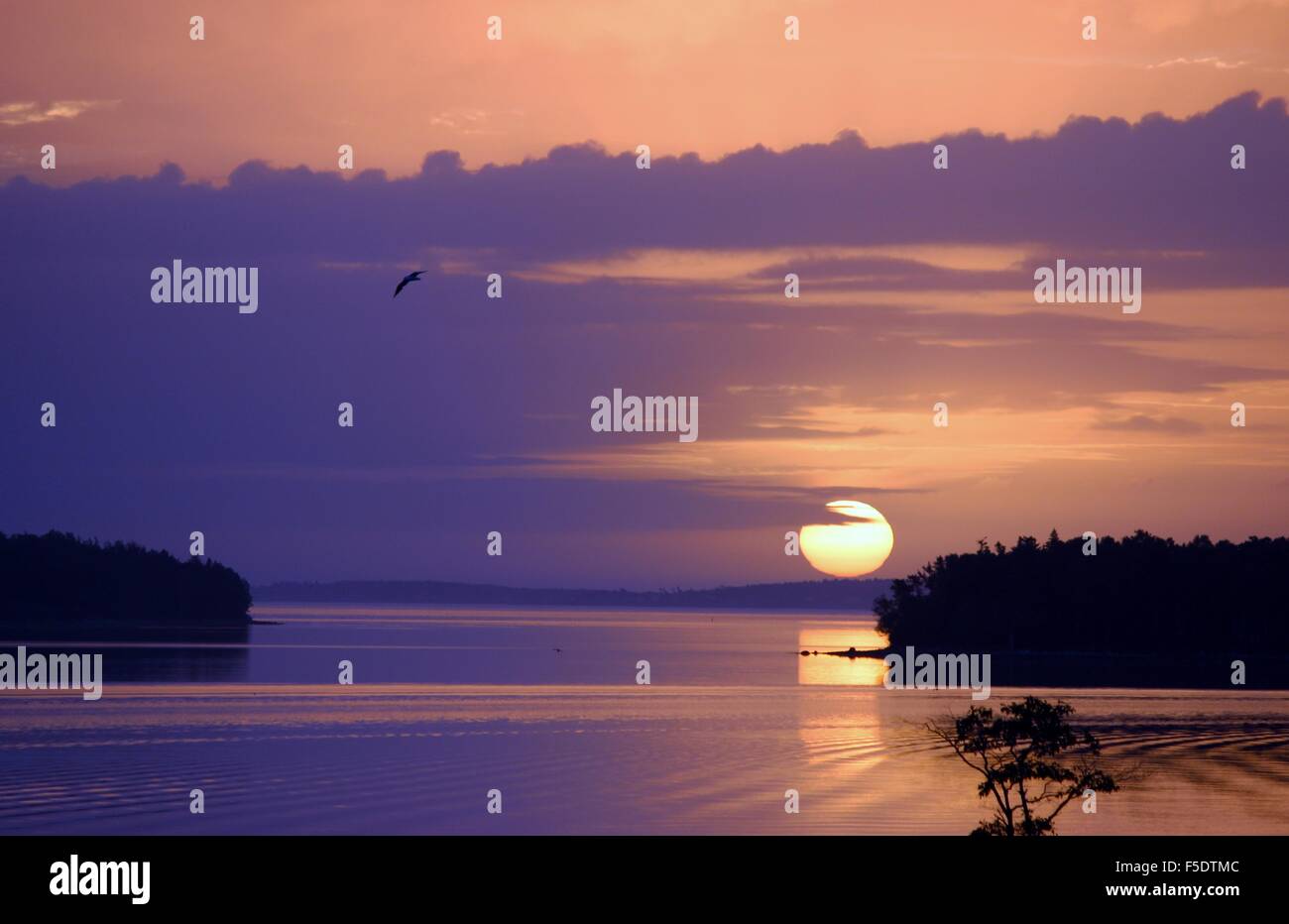 September sunrise over Tancook Island in Mahone Bay, Nova Scotia Stock ...